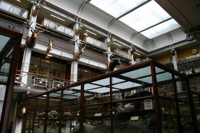 National Museum Of Ireland