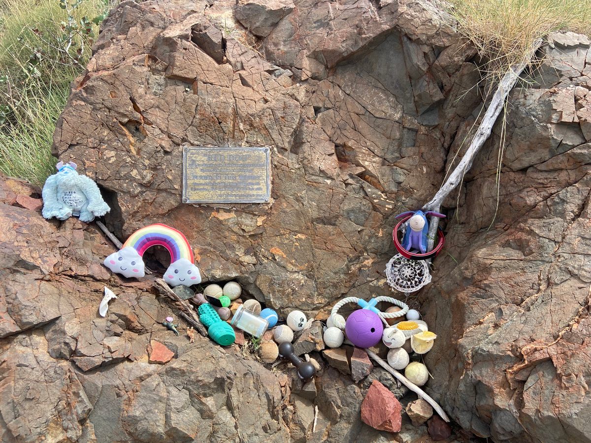 Red Dog Grave Memorial – Cossack, Australia - Atlas Obscura