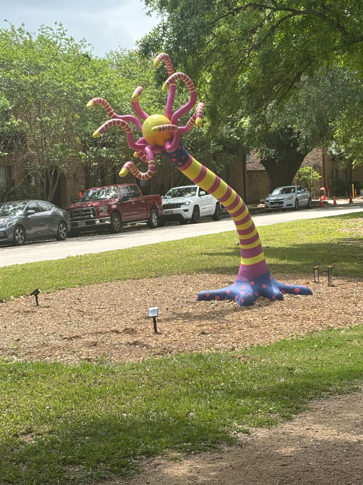 Paul Carr Jogging Trail in Houston