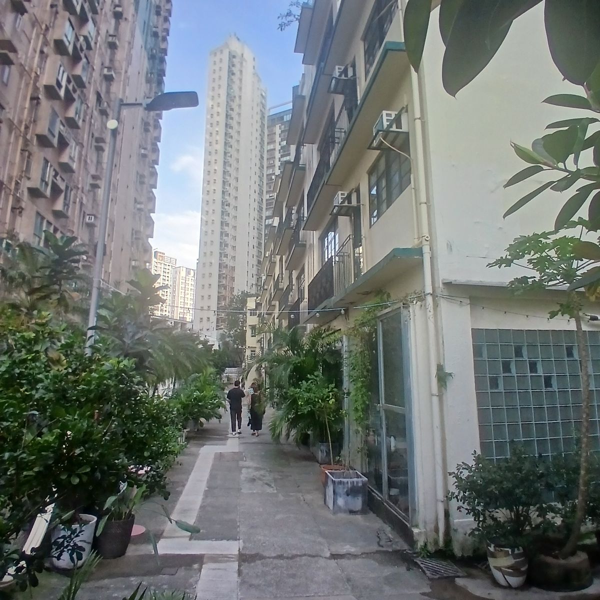 Wing Lee Street in Hong Kong Island