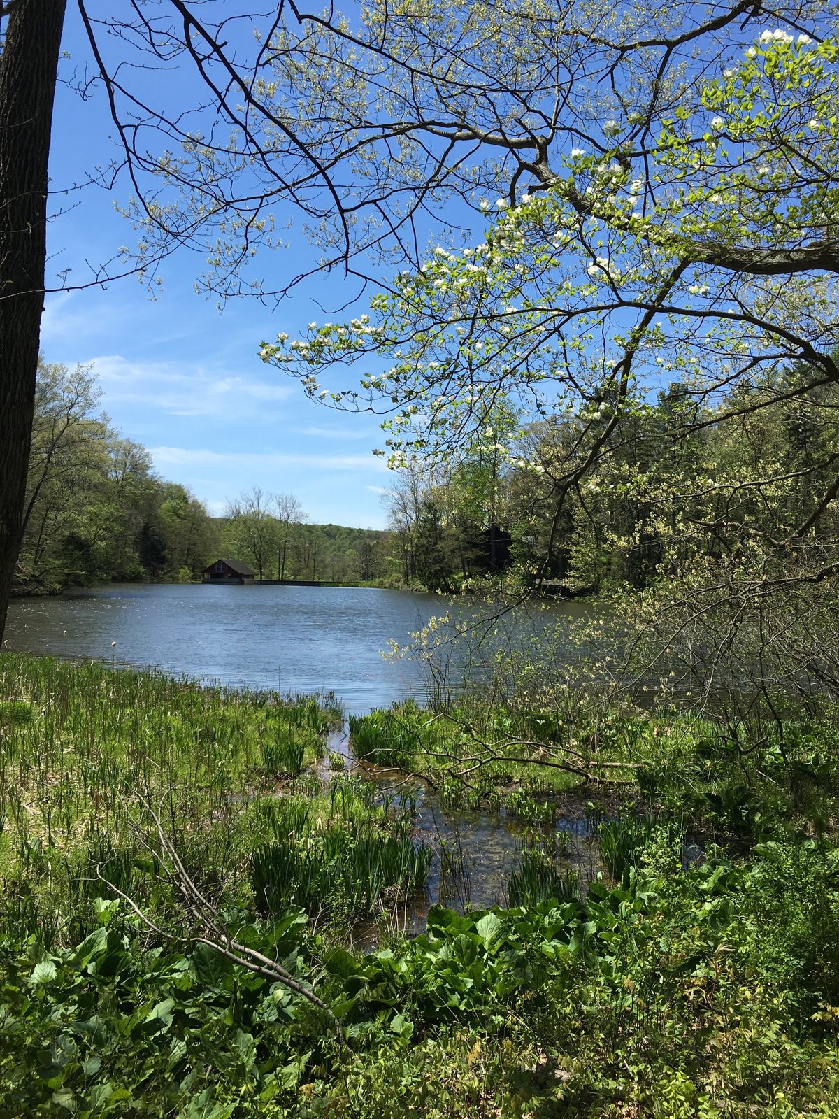 Richfield Heritage Preserve | Richfield, Ohio - Atlas Obscura