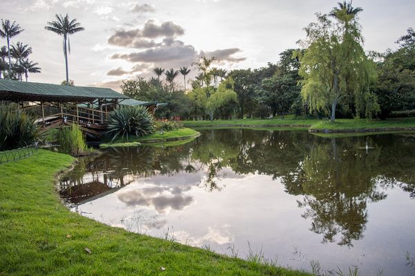 Bogotá Botanical Garden in Bogotá