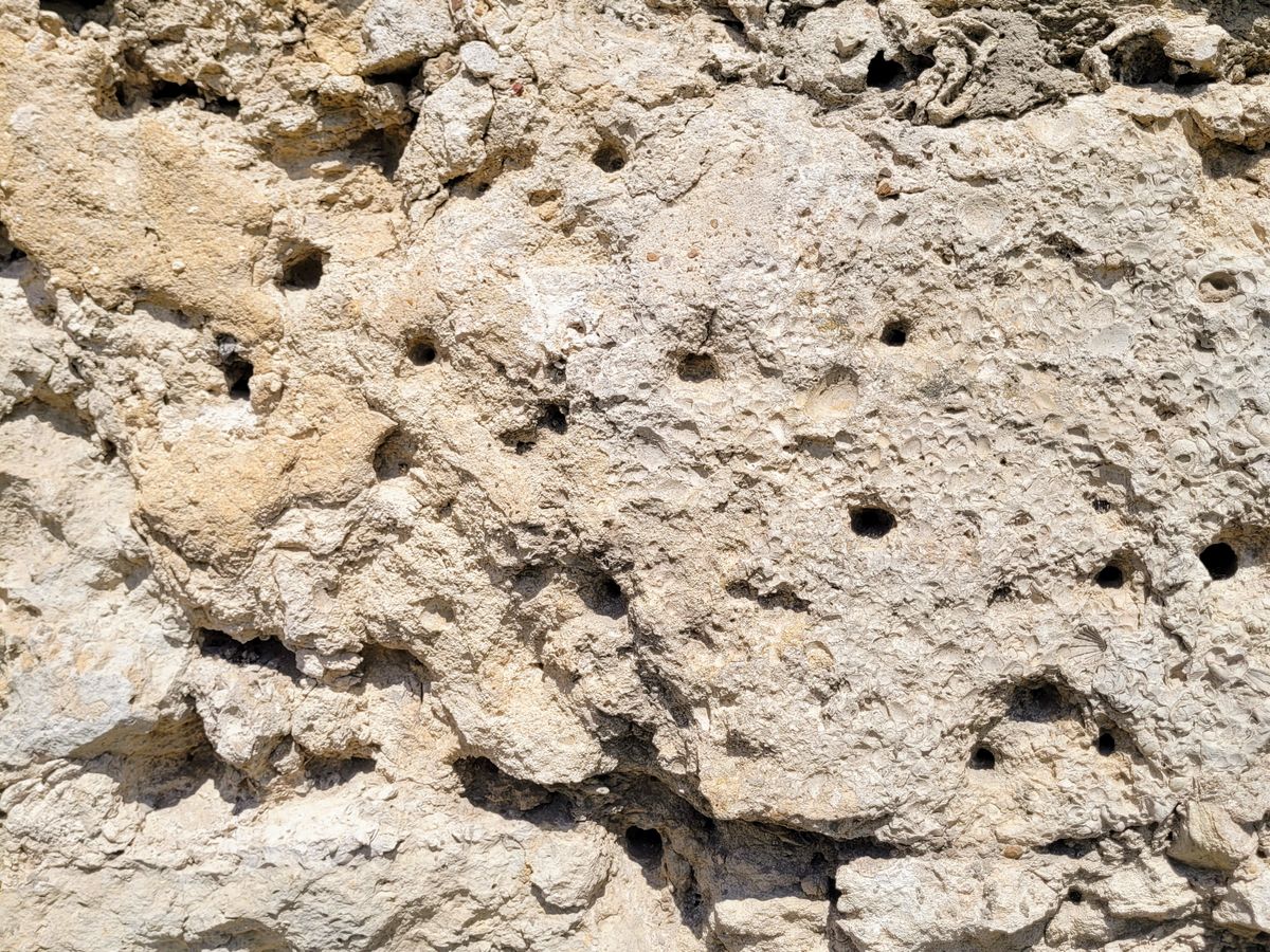 The White Lady’s Bullet-Scarred Wall in Bender | Atlas Obscura