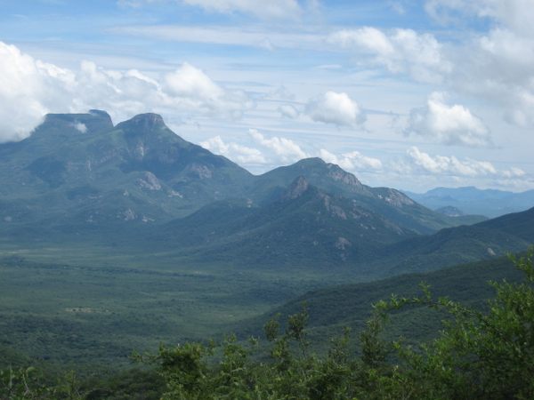 In Angola, Conservationists Make the Case for a Massive New National Park