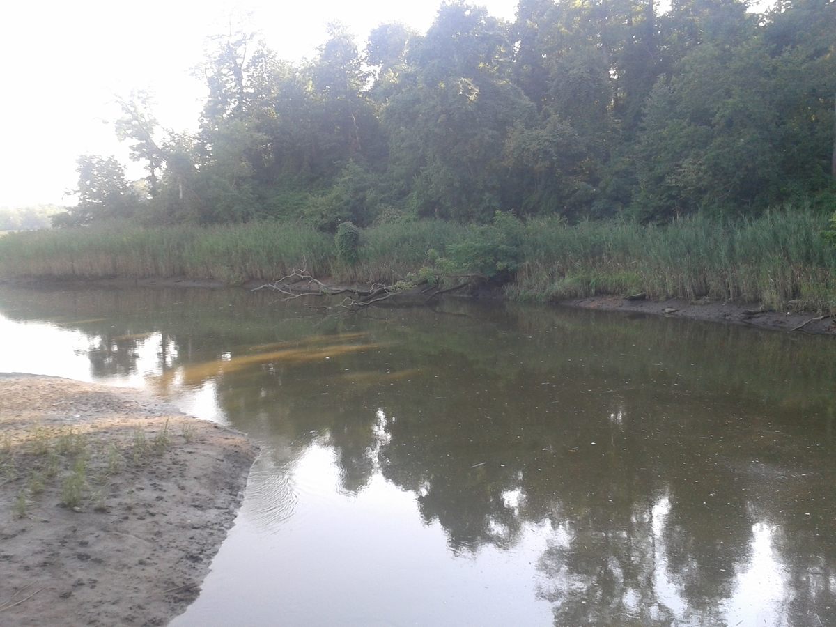 Site Of The New Jersey Shark Attacks Of 1916 Matawan New Jersey
