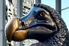 Song of the Dodo, Montreal